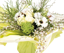 POLYPAP - La boutique en ligne des artisans fleuristes - Polypap